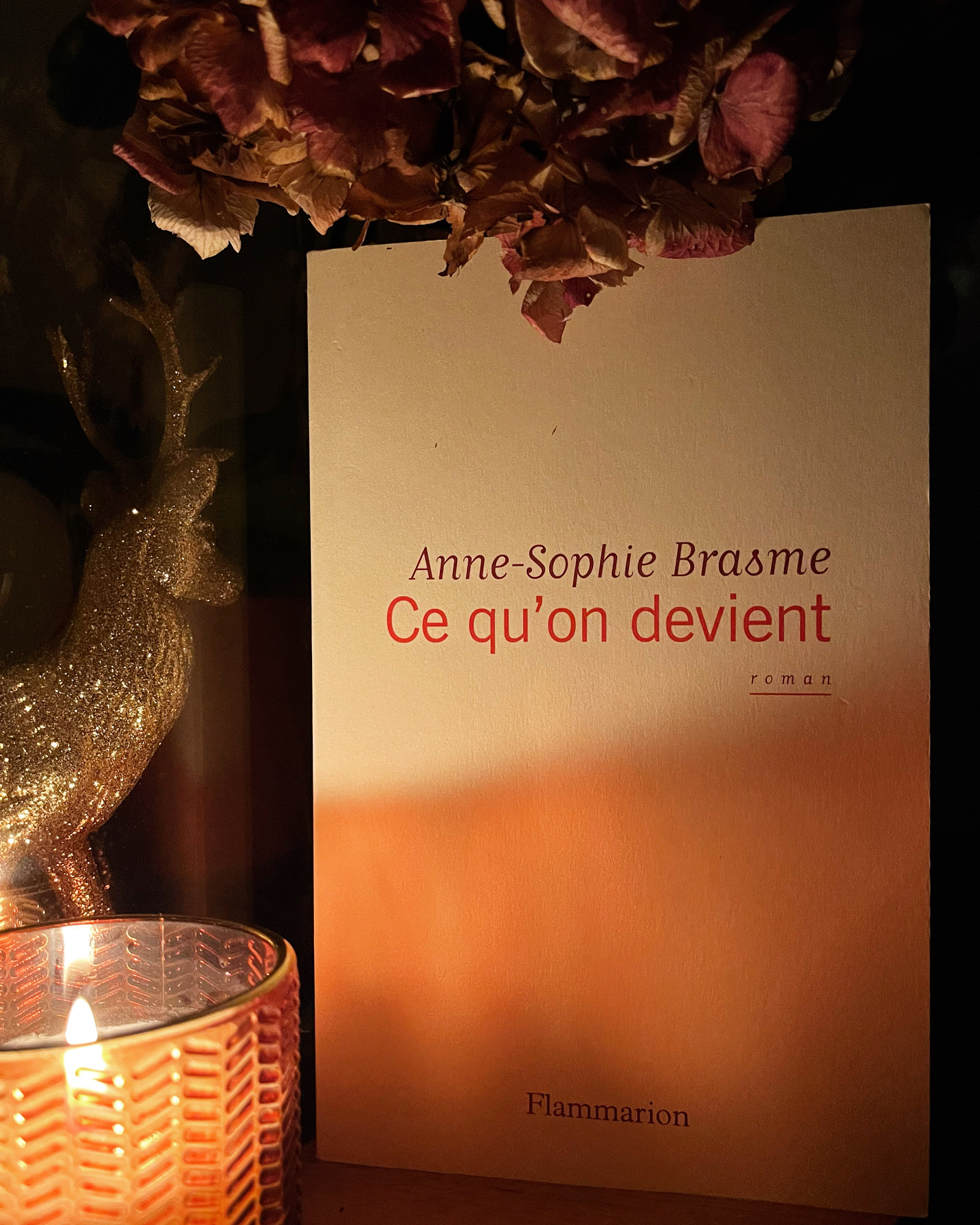 Ce qu’on devient de Anne-Sophie Brasme - Maxi Flash | Edition Colmar ...