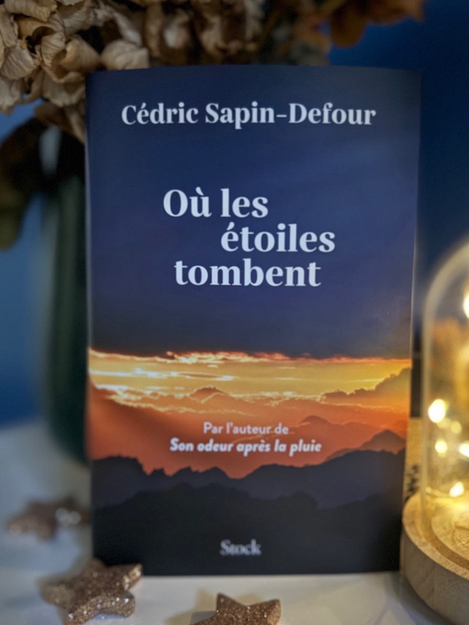 Où les étoiles tombent, de Cédric Sapin-Defour - Maxi Flash | Edition Colmar Vignoble et Plaine